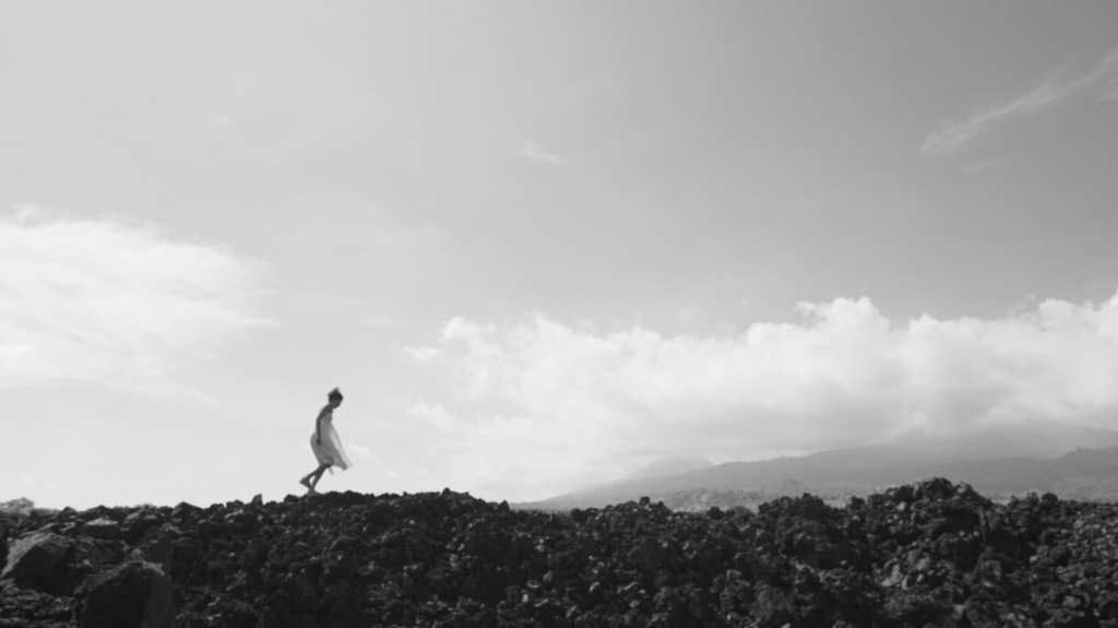 Polvo de Gallo - BRUJAZUL